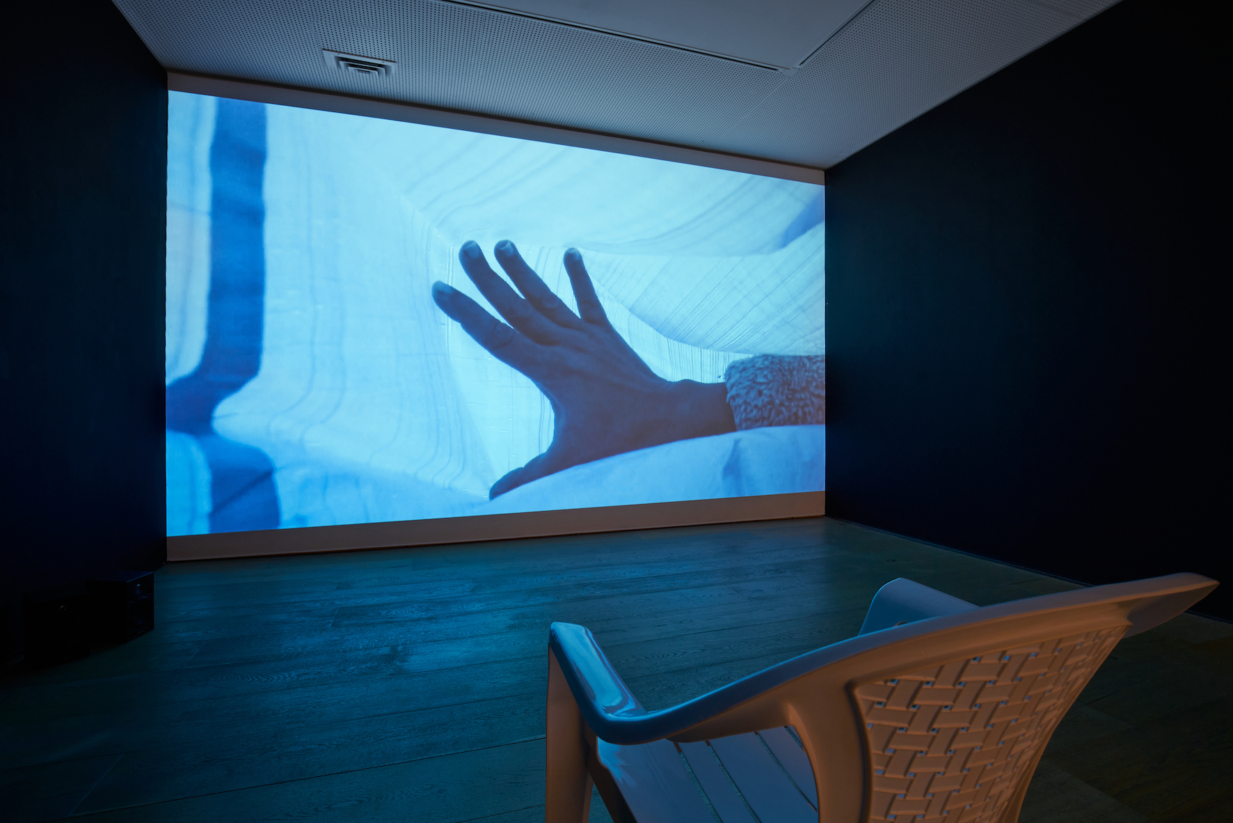 Alberta Whittle - Liverpool Biennial