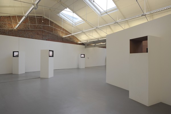 Wannes Goetschalckx - Liverpool Biennial
