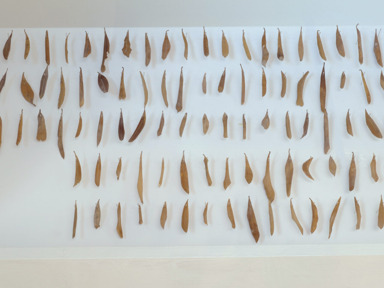 Khalil Rabah - Liverpool Biennial