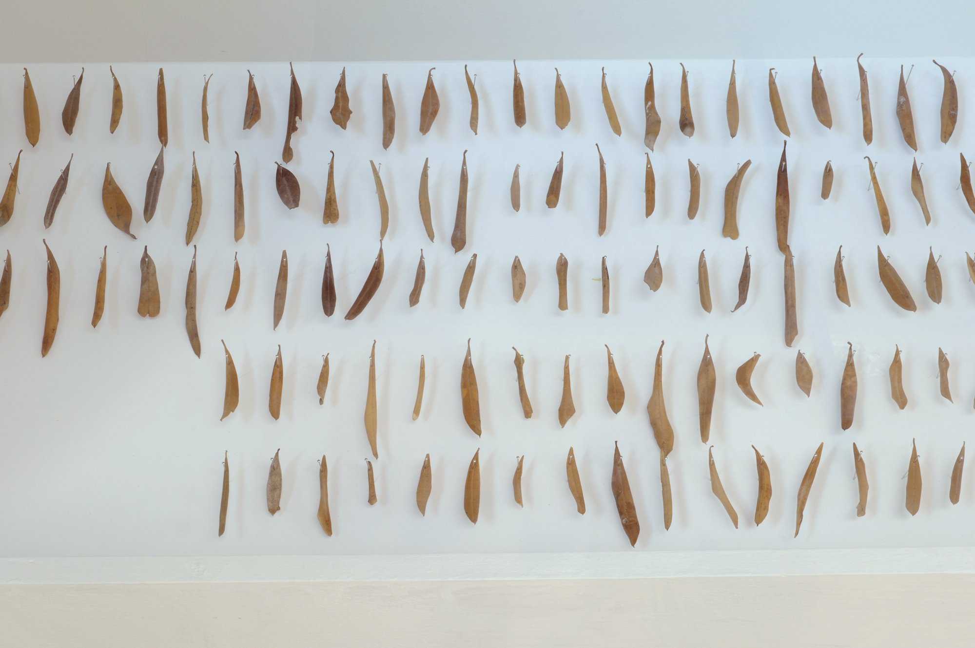 Khalil Rabah - Liverpool Biennial