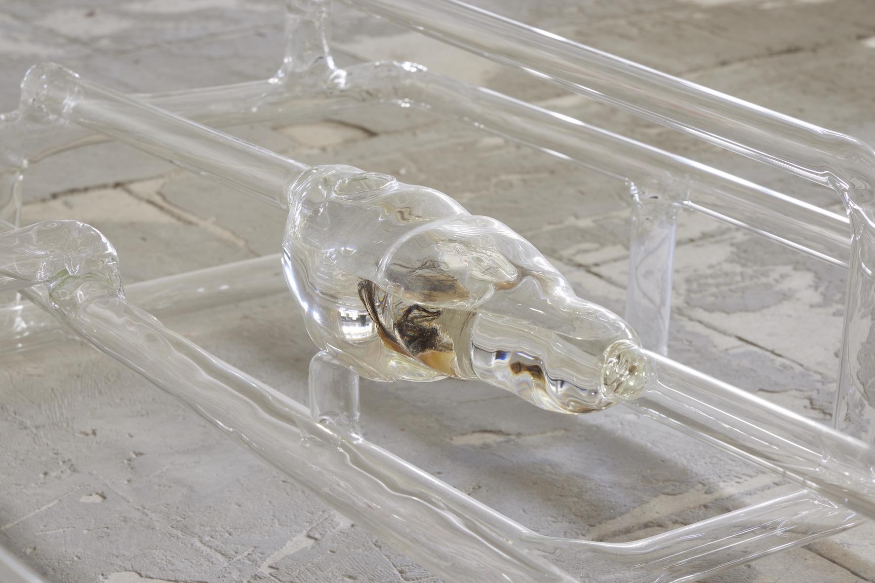 Jes Fan - Liverpool Biennial