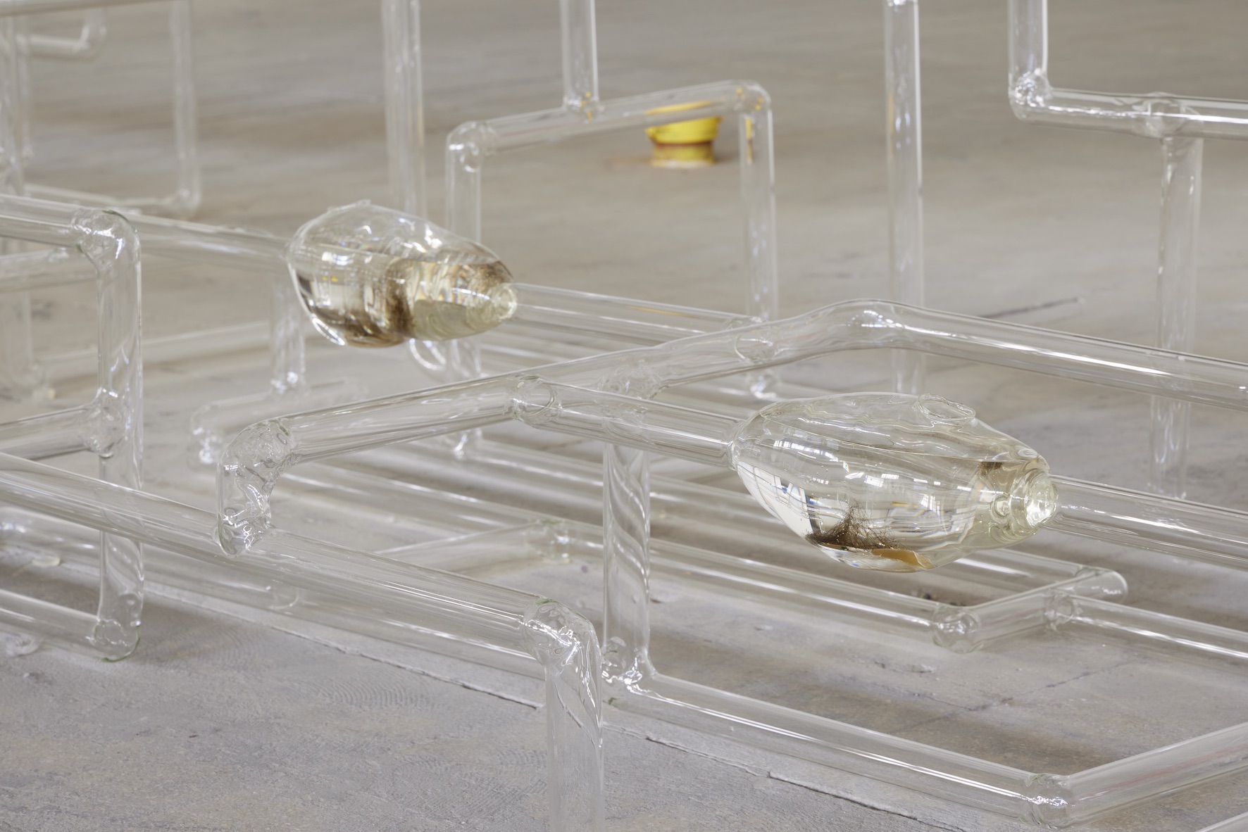 Jes Fan - Liverpool Biennial