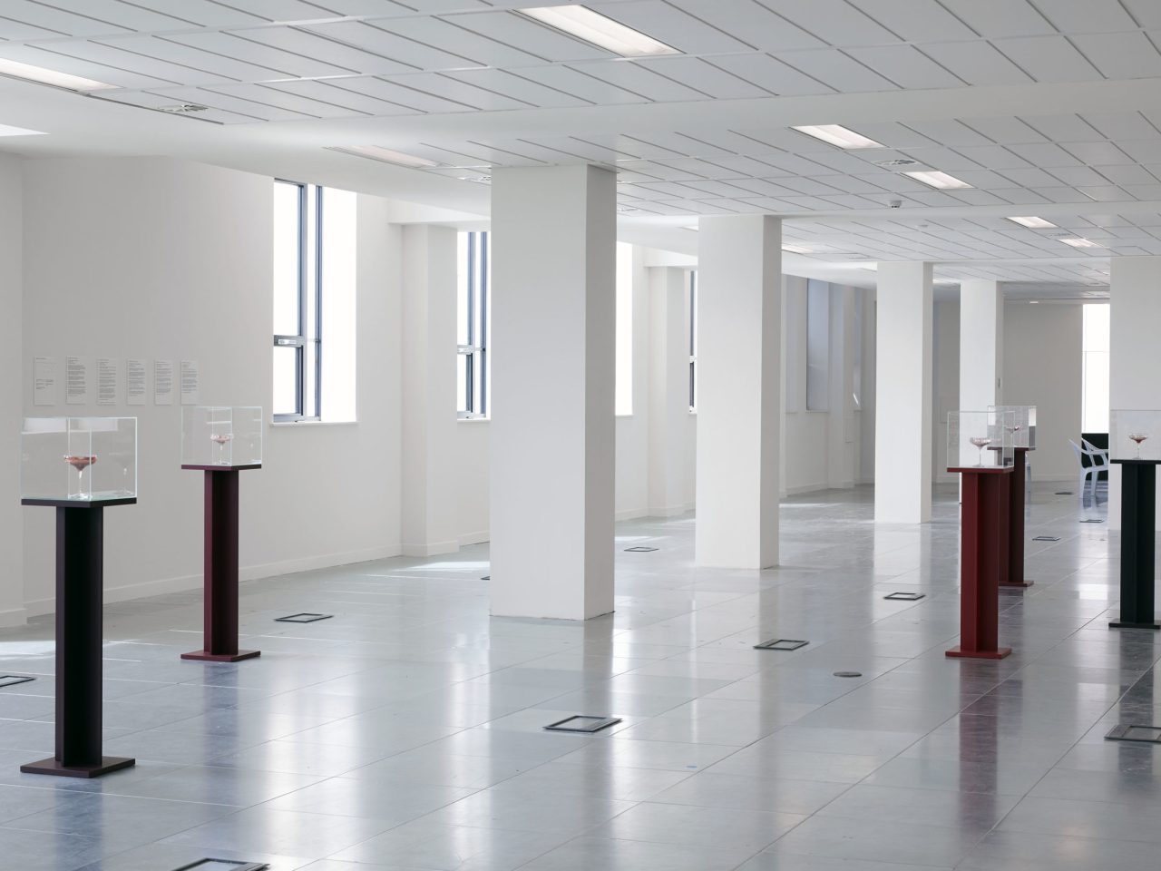 Ane Graff - Liverpool Biennial