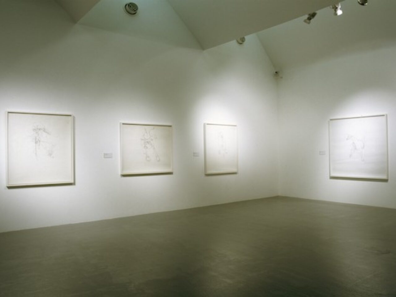 Chloe Piene - Liverpool Biennial