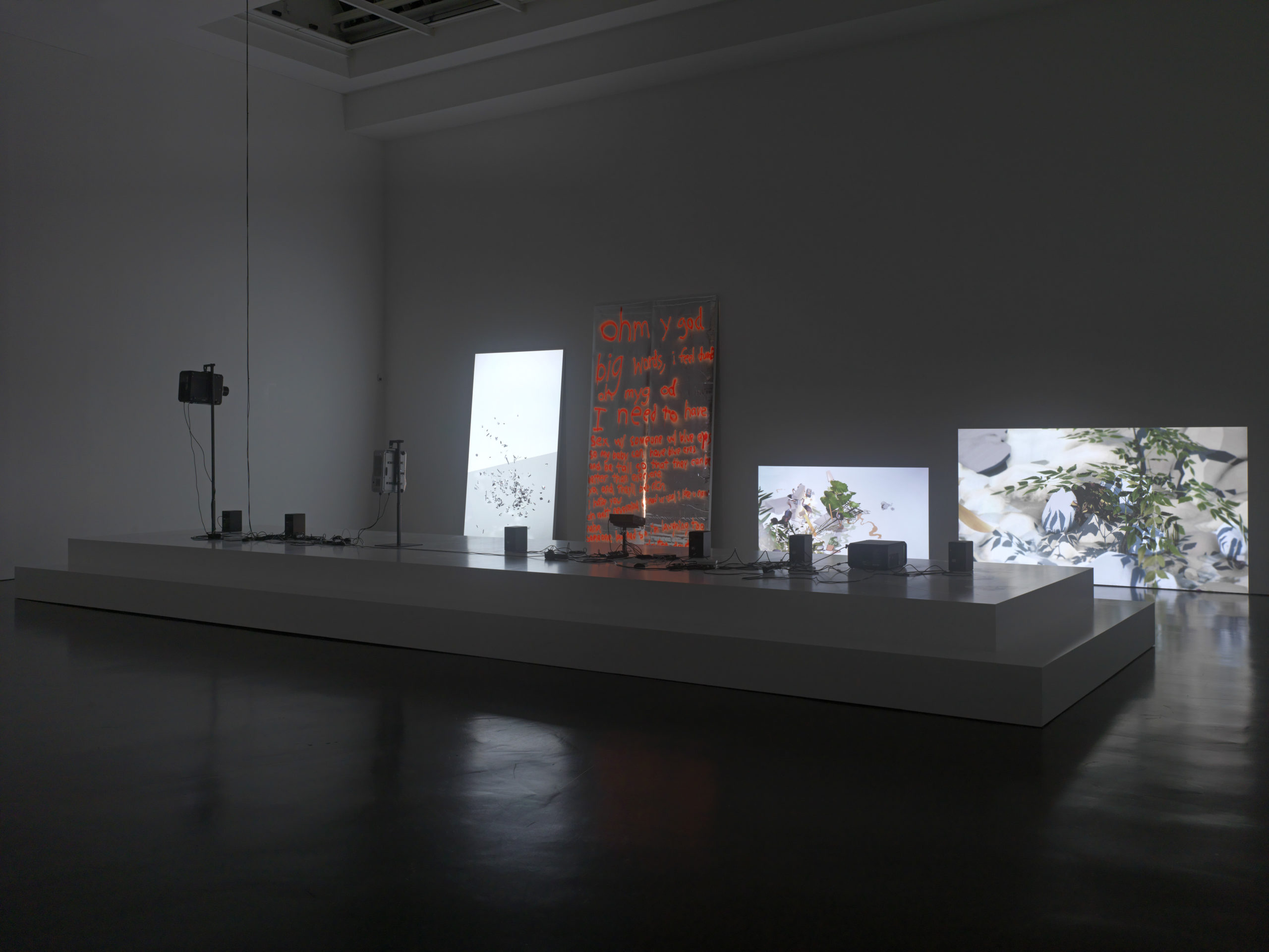 Ian Cheng - Liverpool Biennial