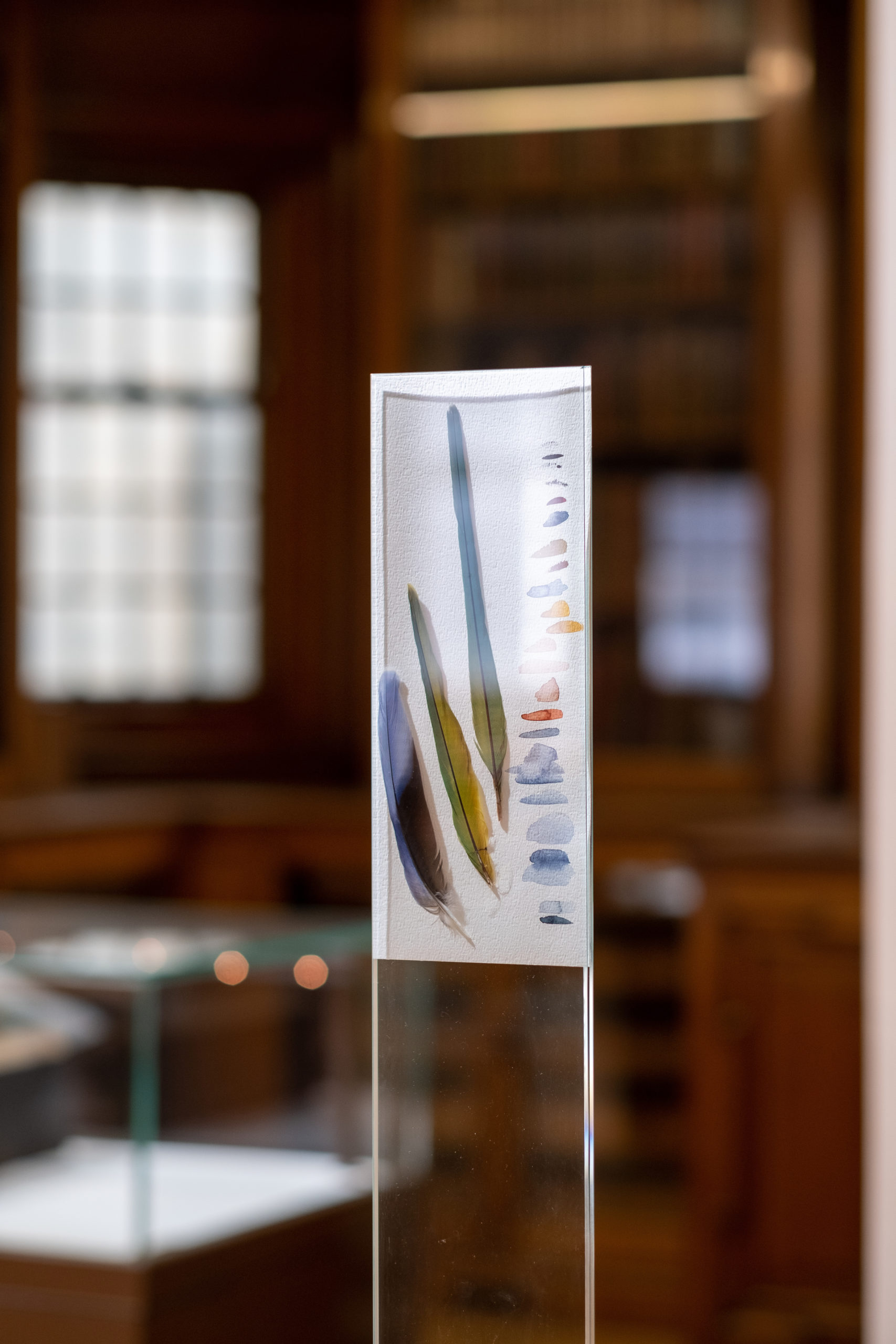 Yael Davids - Liverpool Biennial