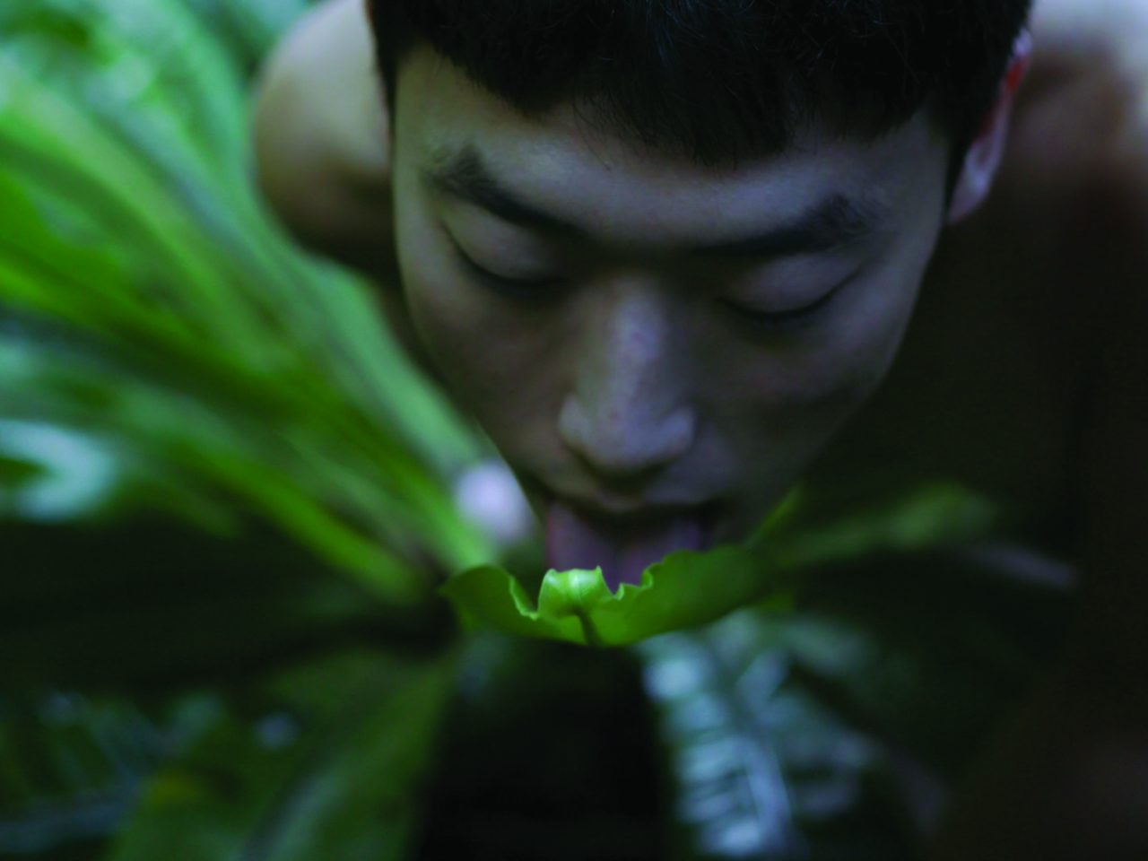 Zheng Bo - Liverpool Biennial