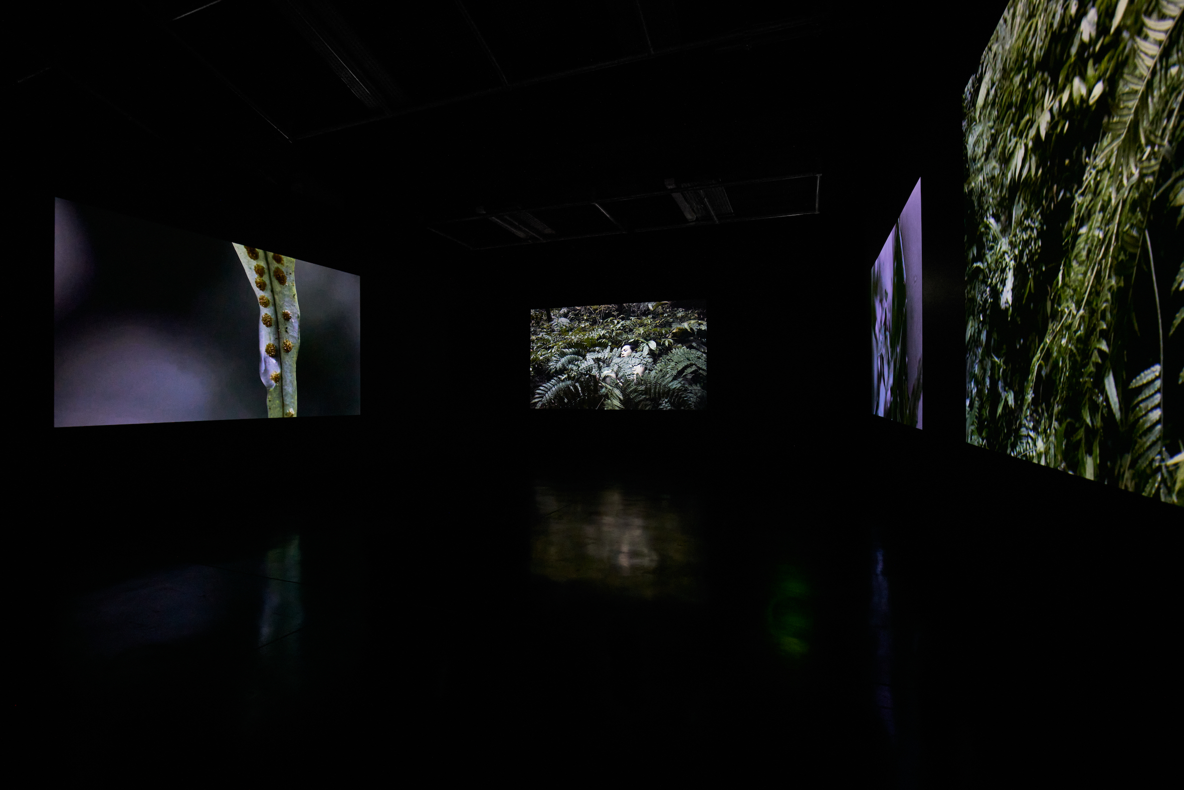 Zheng Bo - Liverpool Biennial