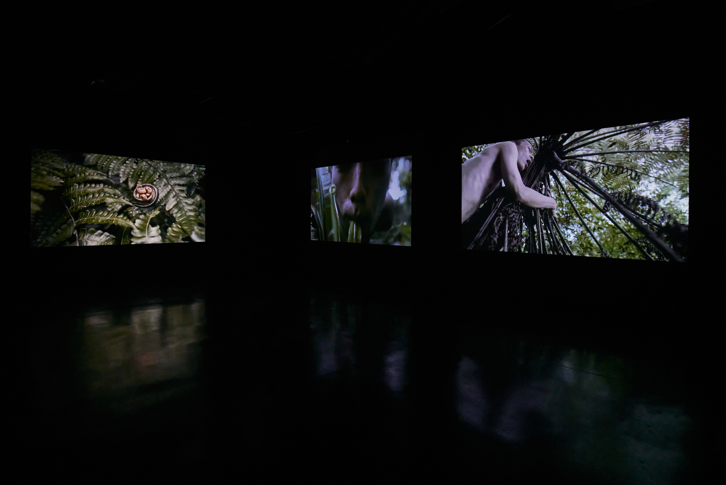 Zheng Bo - Liverpool Biennial